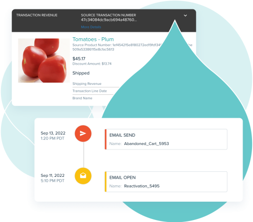 Content Management Solution | Acquia